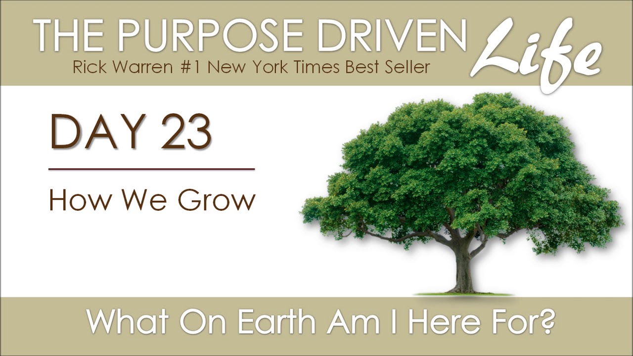 Purpose Driven Life | Day 23