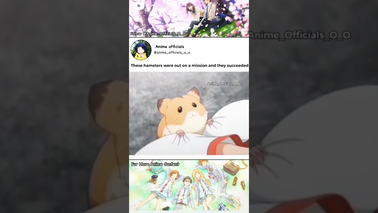HAMSTER 🐹 STOLEN BRA AND UNDERWA®E 😂😂🤣🤣 #anime || #success