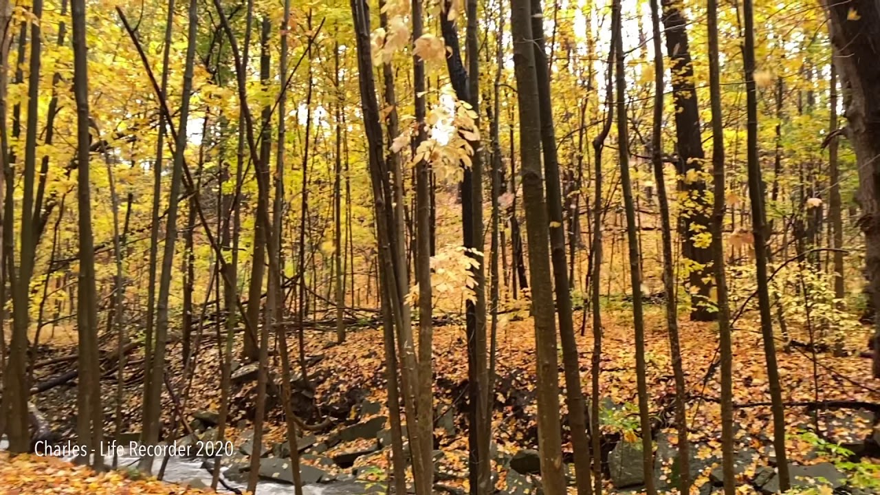 Fall 2020 Canada - one of the most beautiful scene