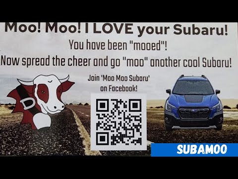 Moo Moo Subaru #shorts