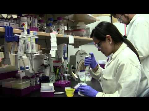The Champion Lab - Research on Therapeutic Materials