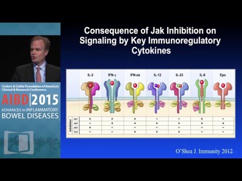 New Therapies that Target the JAK-STAT Pathway and other Small Molecules