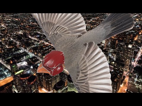 Steam Community :: Video :: Battle Birds