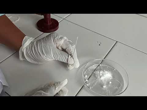 Laboratory Testing Services, Lab Testing Services in India