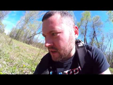 Hunting for Morel Mushrooms in Minnesota