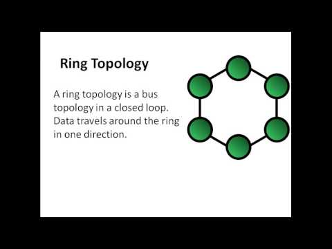 Network Topology and it's Types in 2 Minutes !!!!