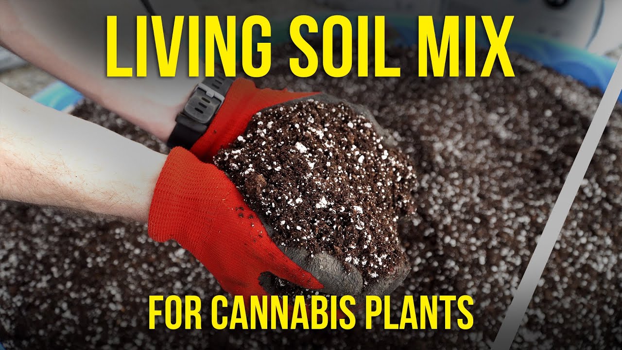 How to make a Living Soil