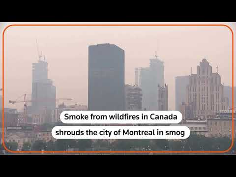 Wildfires shroud Montreal in smoke