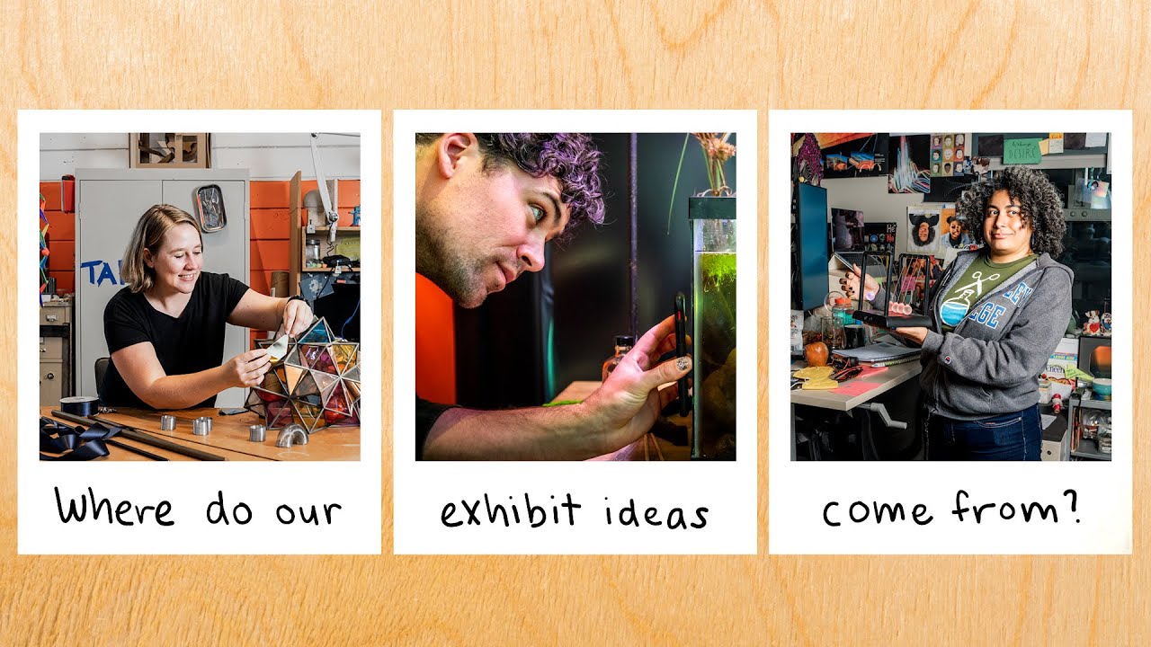 Where do our exhibit ideas come from? | Exploratorium