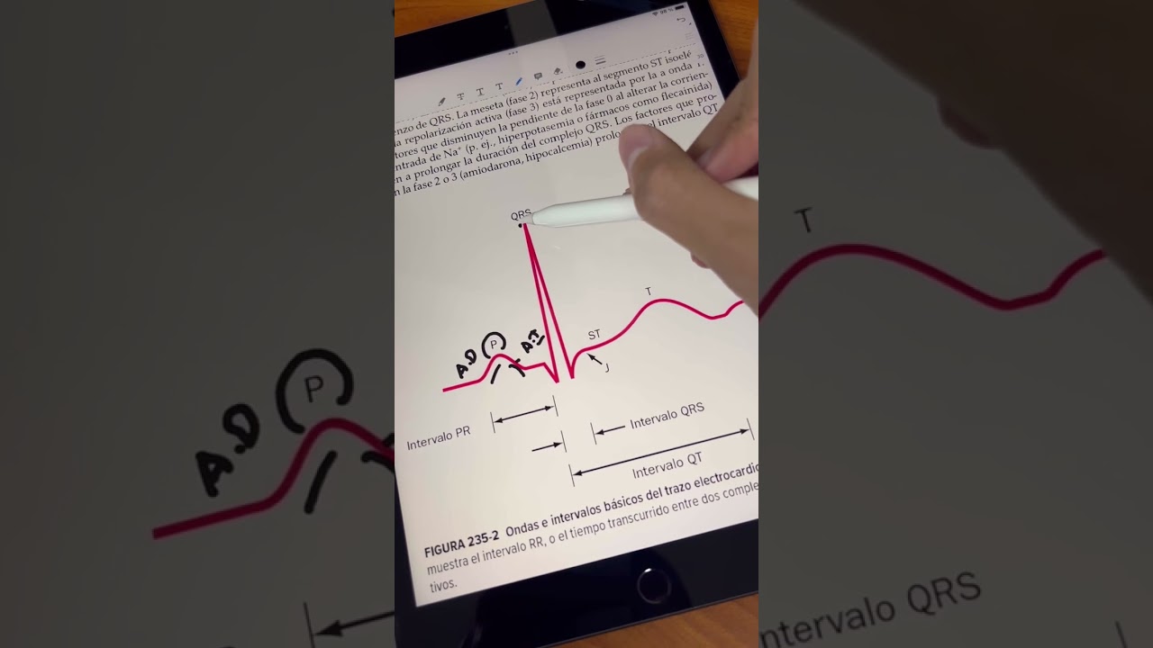 What each wave on the ECG represents 🫀explained in 1 minute