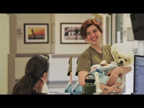 The Mission of Public Health Command-Pacific
