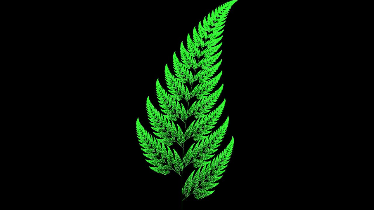 Barnsley Fern  fractal animation with python (with sourcecode)