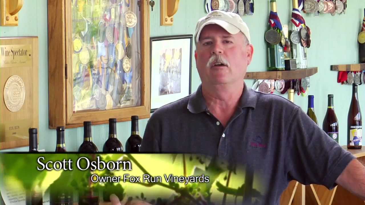 25th Anniversary Celebration, Seneca Lake Wine Trail