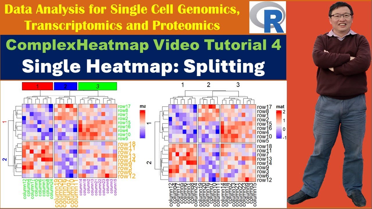ComplexHeatmap Video Tutorial 4: Single Heatmap--Splitting