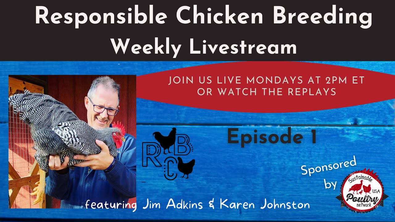 Responsible Chicken Breeding – Full Episode 1