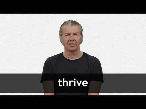 How to pronounce THRIVE in American English