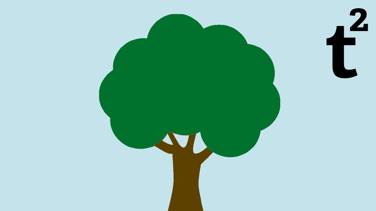 Where is the World's Smallest Tree? RIF 38