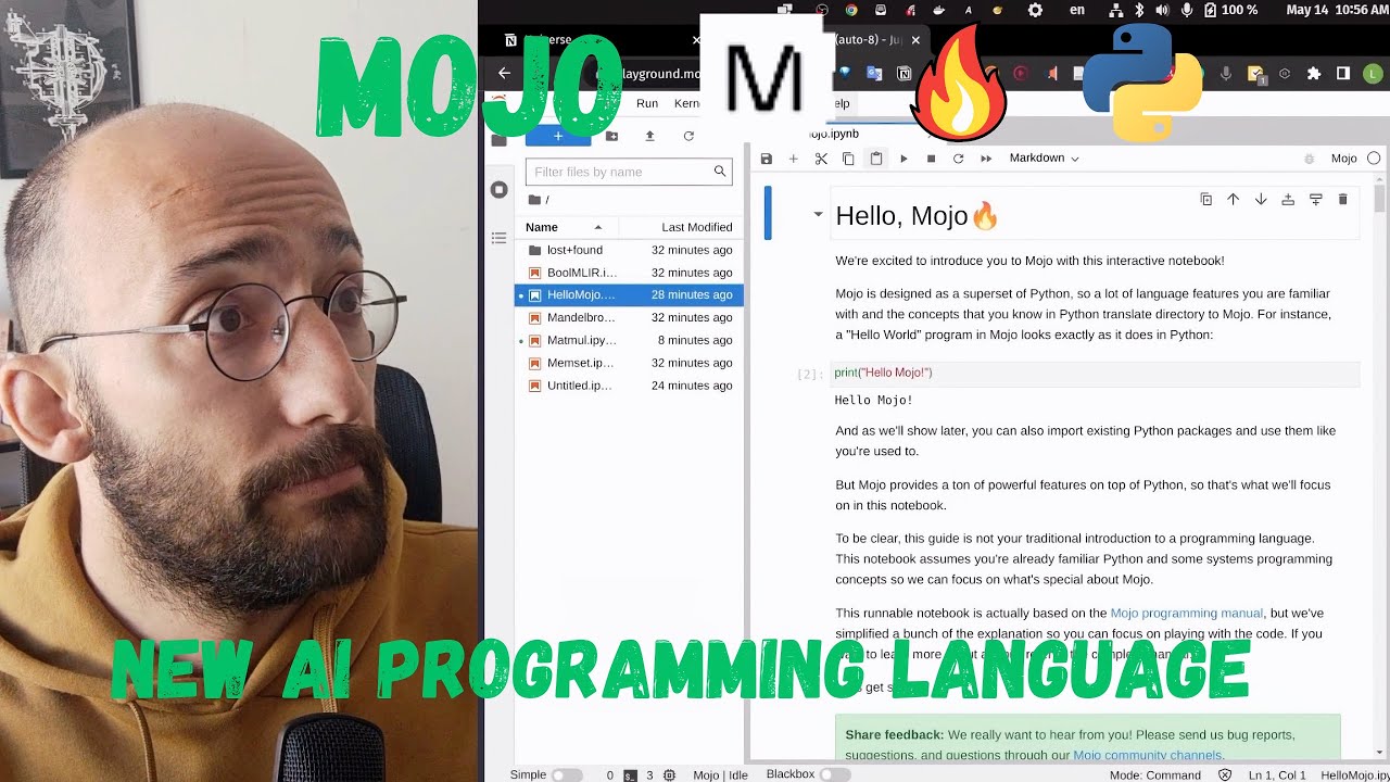 Mojo: The New AI Programming Language | First Look