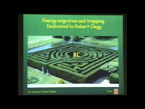 Energy Harvesting : How Plants Capture Light Energy and Convert It into Chemical Energy