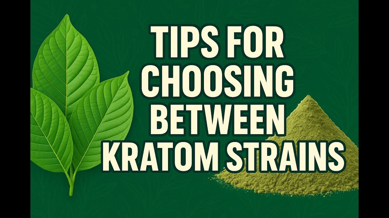 Tips for Choosing Between Kratom Strains