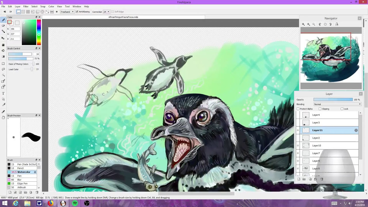 Fauna Focus African Penguin