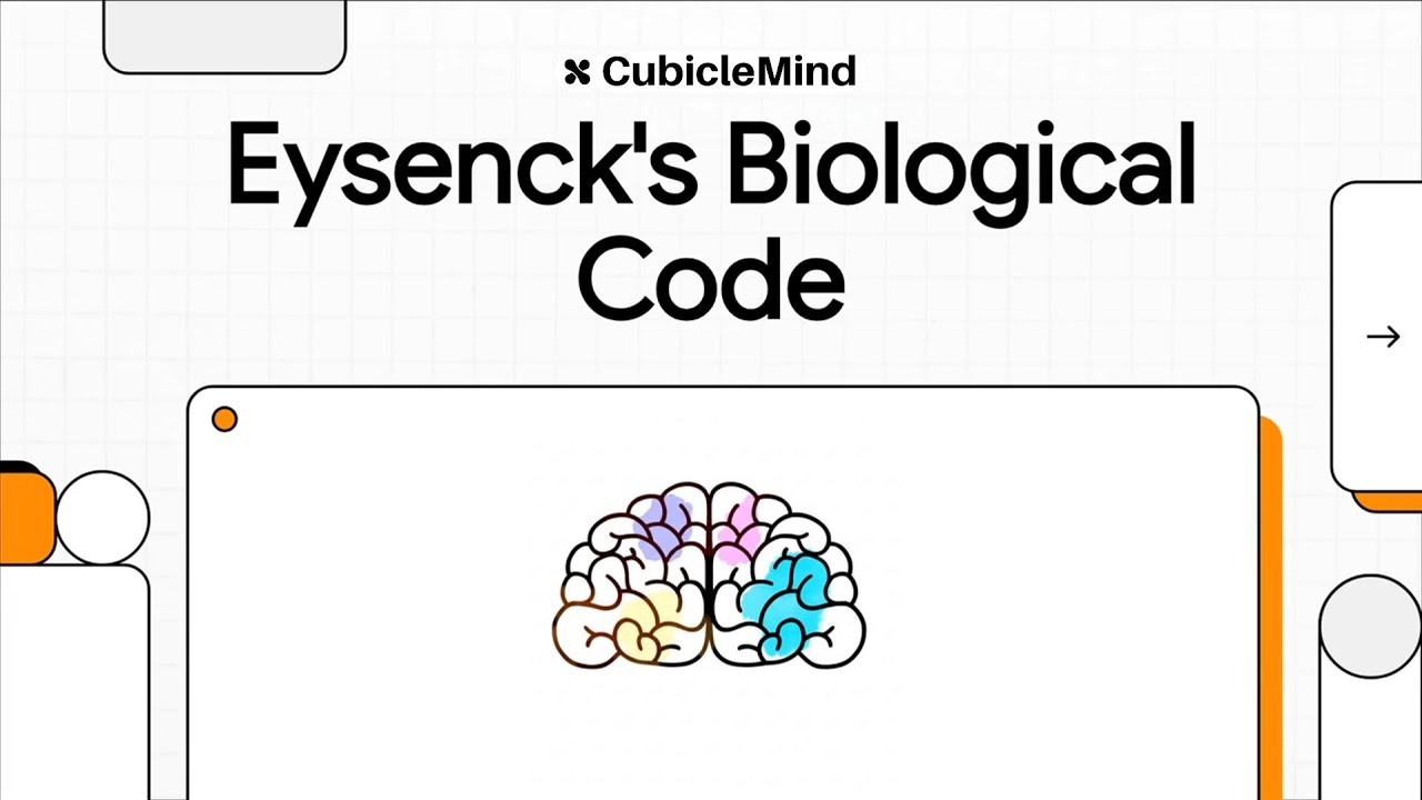 Eysenck's Psychoticism, Extraversion, Neuroticism &  Arousal Theory Explained