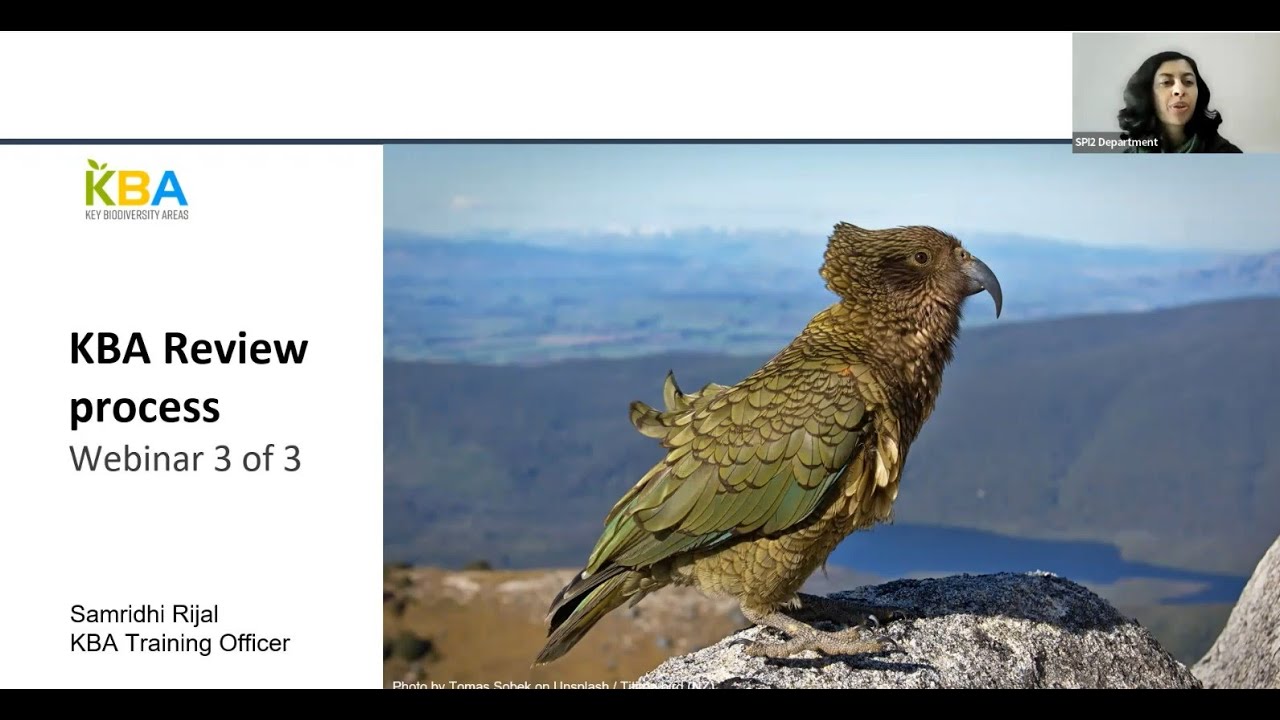 KBA Review Process Online