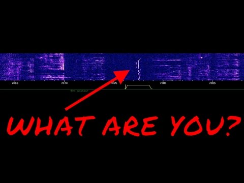 STRANGEST Shortwave Radio Frequency Sound You'll Ever Hear - 7077.6 kHz