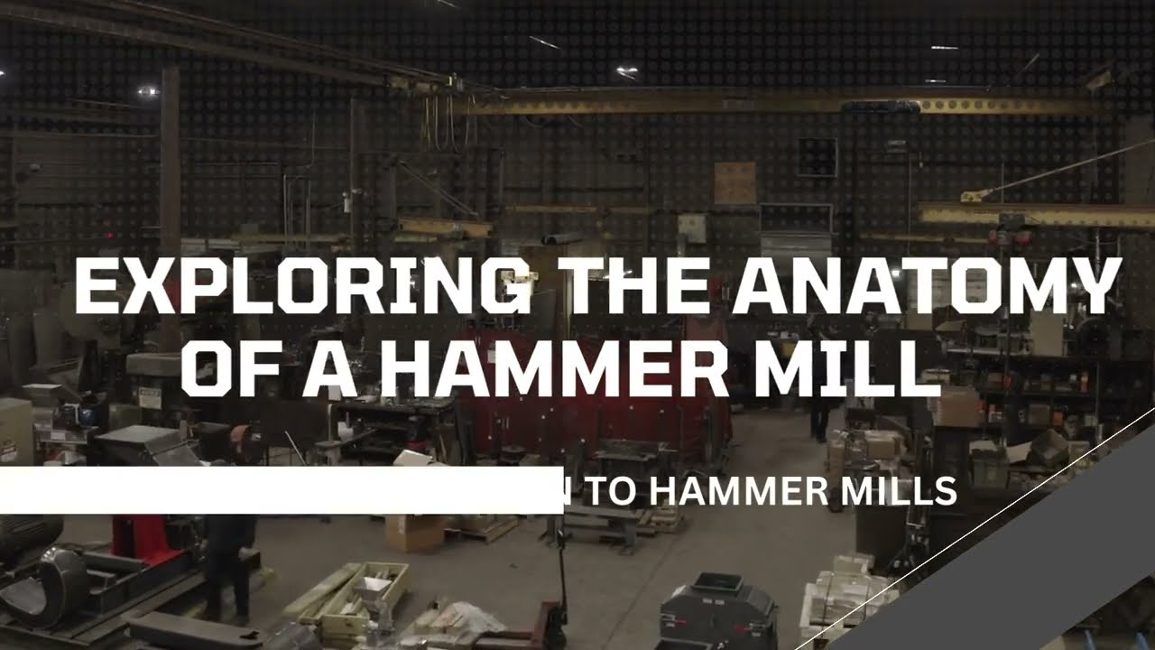 Exploring the Anatomy of a Hammer Mill