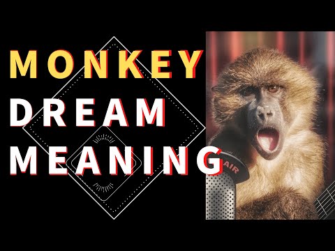 Dream about Monkey: interpretation and meaning. what do dreams mean?Decoding Your Monkey Dreams
