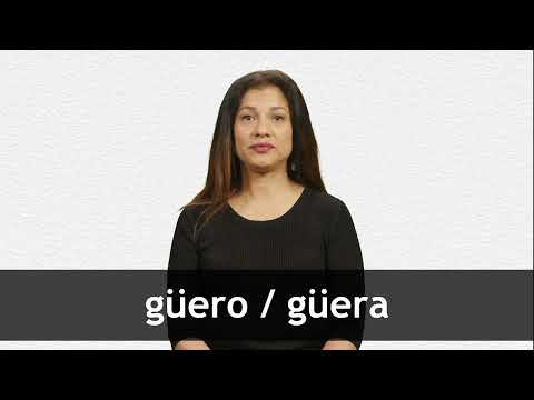 English Translation of “GÜERO” | Collins Spanish-English Dictionary