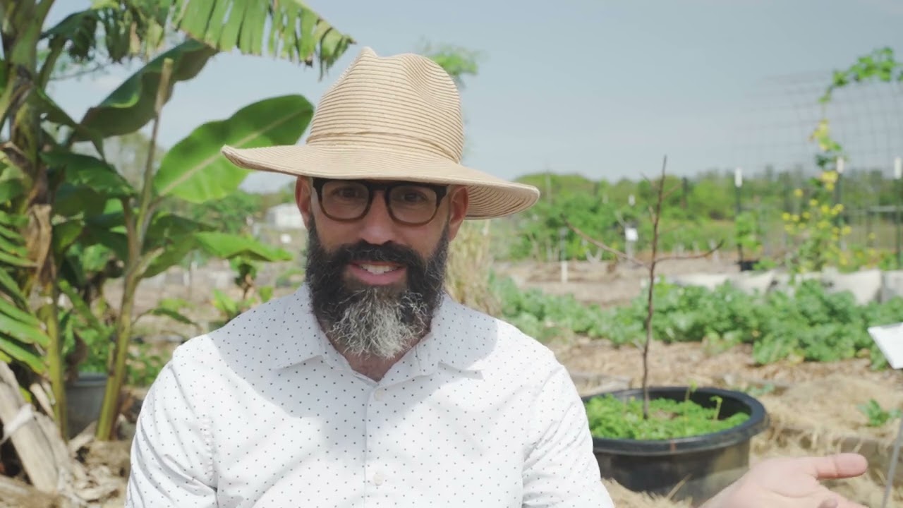 Visual Storytelling - 2024