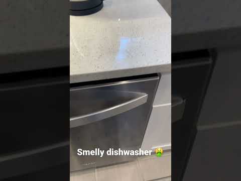 Smelly dishwasher? Hack! #Shorts #fyp #fypシ #viral