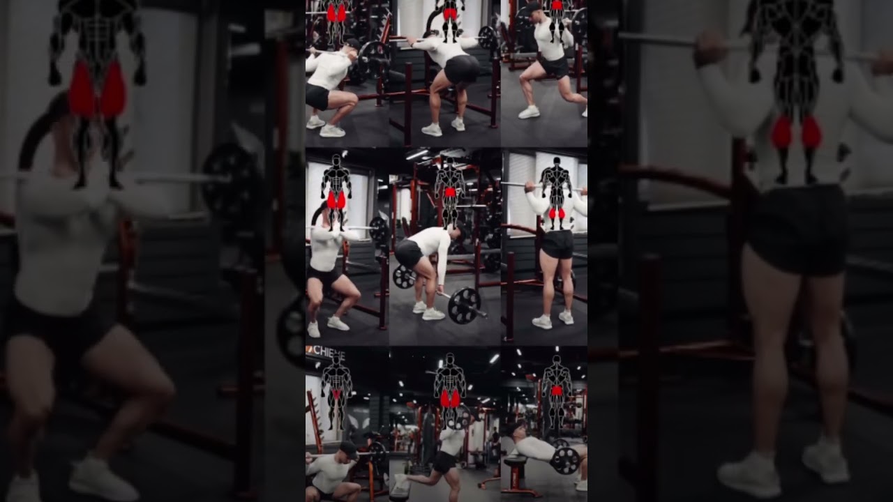 Leg exercises library!#gymtips#legday#legsworkout#legdayworkout#fitness#workout#exercise#gym#workout