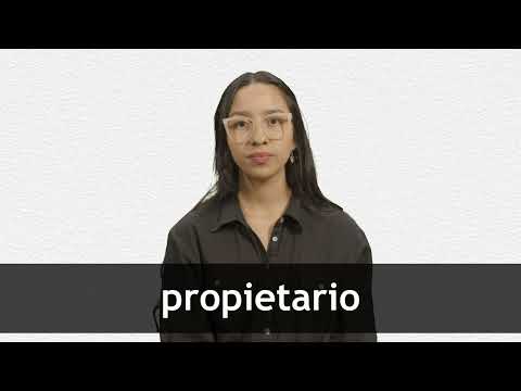 English Translation of “PROPIETARIO” | Collins Spanish-English Dictionary