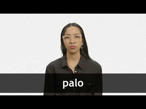 English Translation of “PALO” | Collins Spanish-English Dictionary