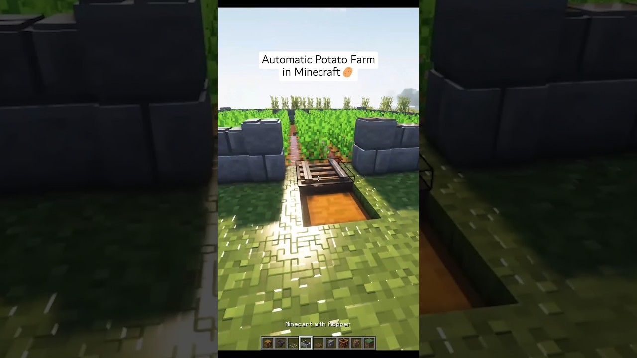 Minecraft : Automatic Potato Farm 🥔#shorts