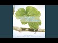 Stand Still Watch HD Mp4 Video Download Free