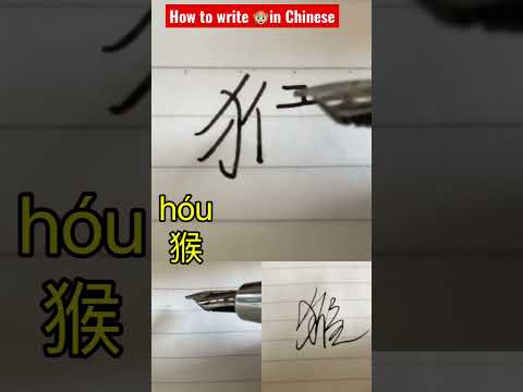 How to write “MONKEY” like a native Chinese ? One word per day #chinesecharacters #chinese
