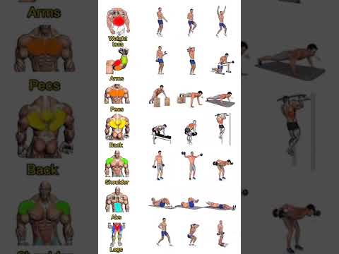 weight lose, arms, pecs, back, shoulder, abs full body workout #ytshorts