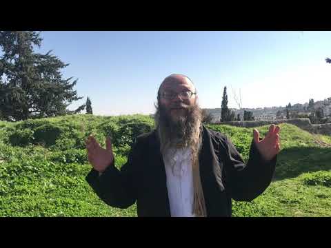 Tu B'Shvat January 2021 New year of the Trees
