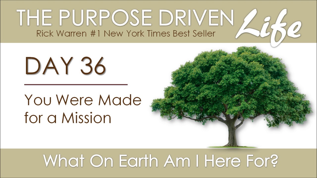 Purpose Driven Life | Day 36