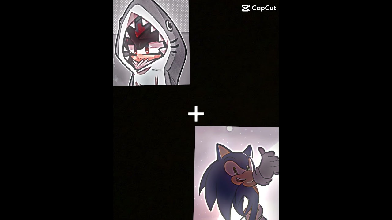 Sonic x shadow #sonadow #sonic #shadow