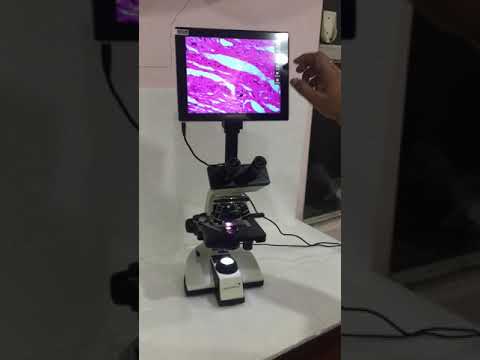 Binocular Research Microscope - Binocular Compound Microscopes Latest ...