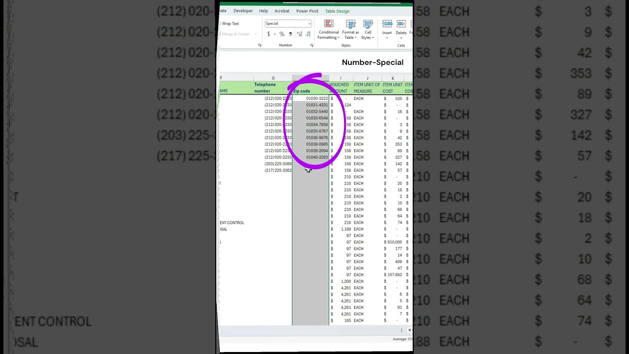 Formatting ZIP and ZIP+4 Codes in Excel the Right Way ~ How to Format ZIP Codes Correctly in Excel