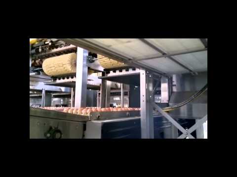 Codificador Domino A400 Egg Coder 2
