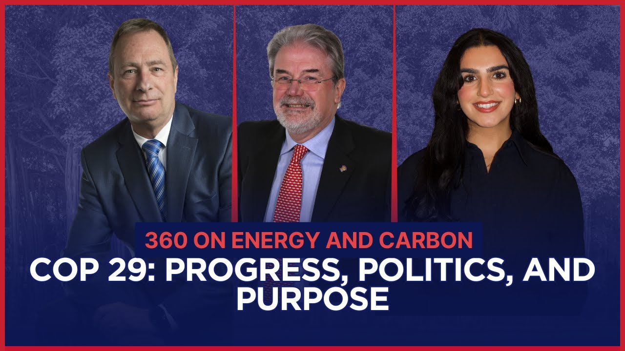COP 29: Progress, Politics, and Purpose