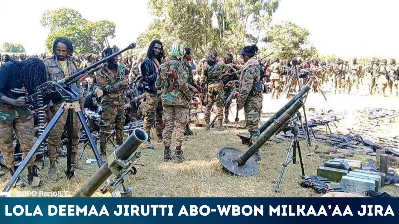 ODUULEE TIBBANAA FI WAGGAA KANAA