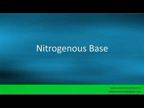 Pronunciation of the word(s) "Nitrogenous Base".