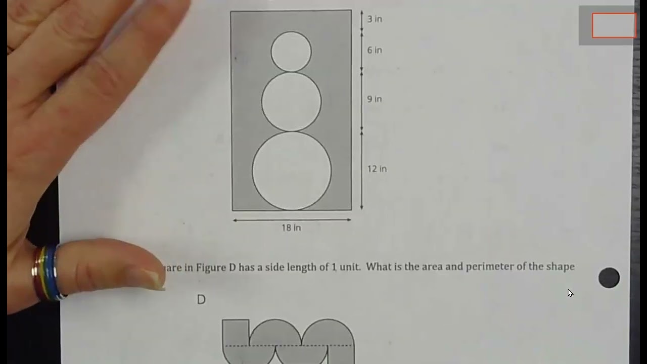 7th grade - Unit 3 - Study Guide